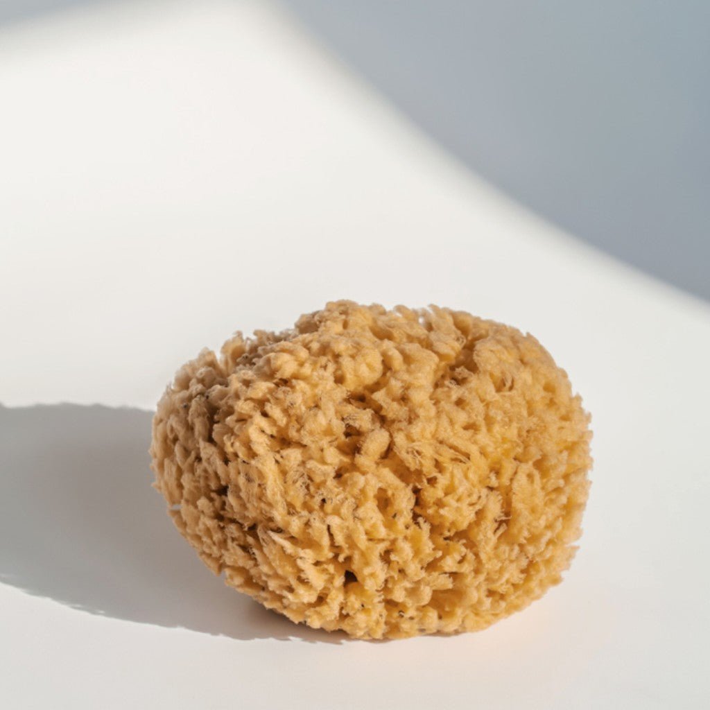 Natural Dead Sea Sponge – Hyaluxe Body